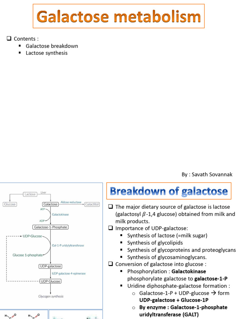 Galactose Metabolism | PDF | Lactation | Breast