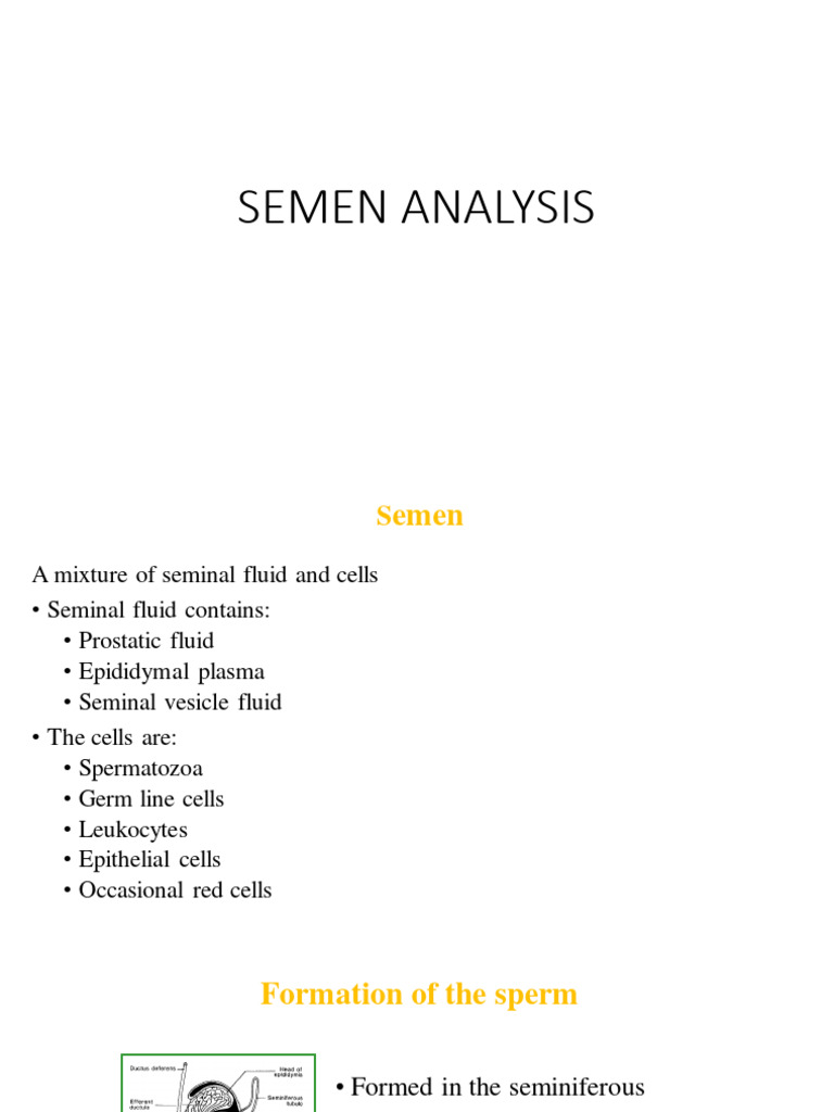 Semen Analysis | PDF | Semen | Sperm