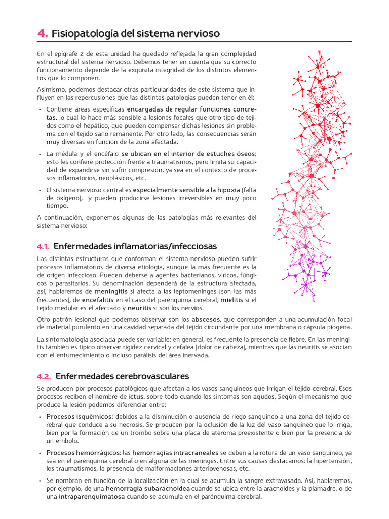 FAD Ud09 Mollar04 | PDF | Carrera | Mielina