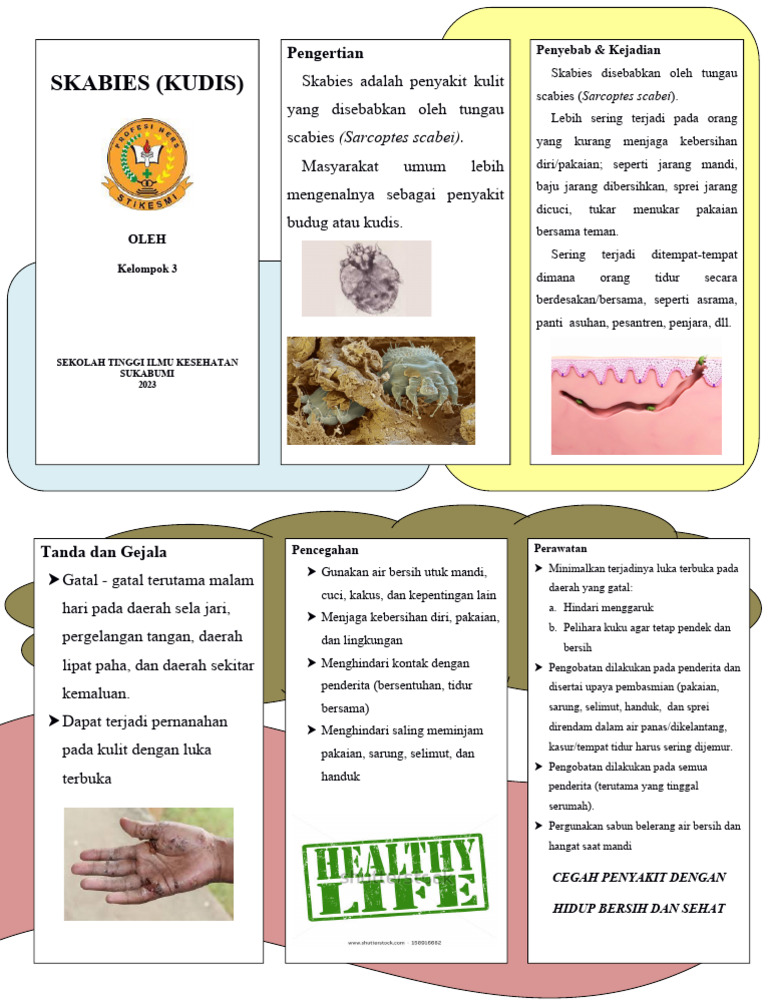 Skabies (Kudis) | PDF