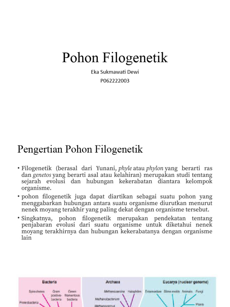 Pohon Filogenetik | PDF | Sains & Matematika