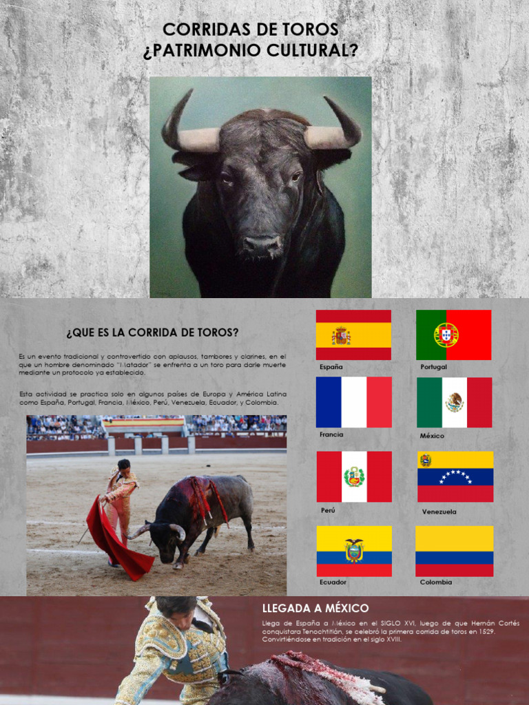 Corridas de Toro Patrimonio | PDF | Toreo | Colombia