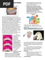 Maxillary Injections Cheat Sheet | PDF | Dentistry | Dentistry Branches