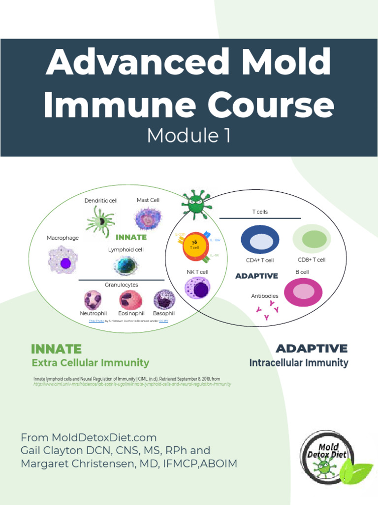 Advanced Mold Immune Course Overview | PDF | Immune System | Inflammation