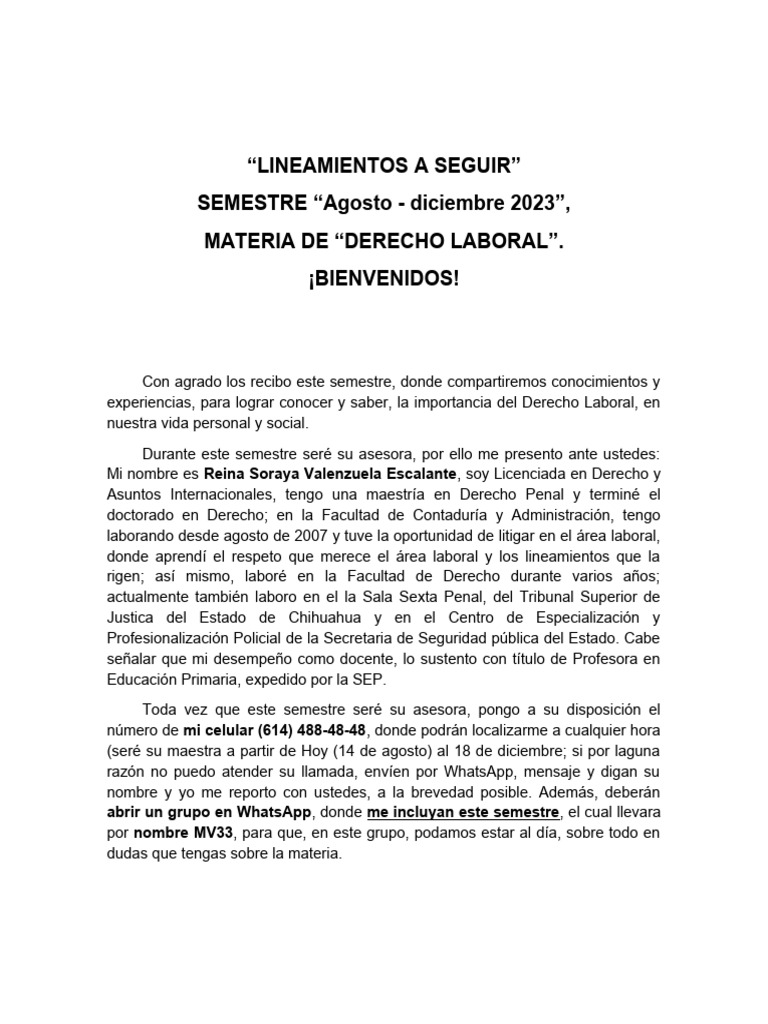 Lineamientos A Seguir en El Curso | PDF