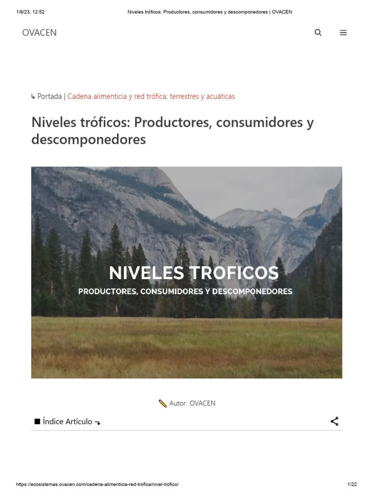 Niveles tróficos_ Productores, consumidores y descomponedores _ OVACEN ...