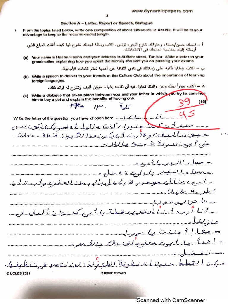 ASL Writing Sample | PDF