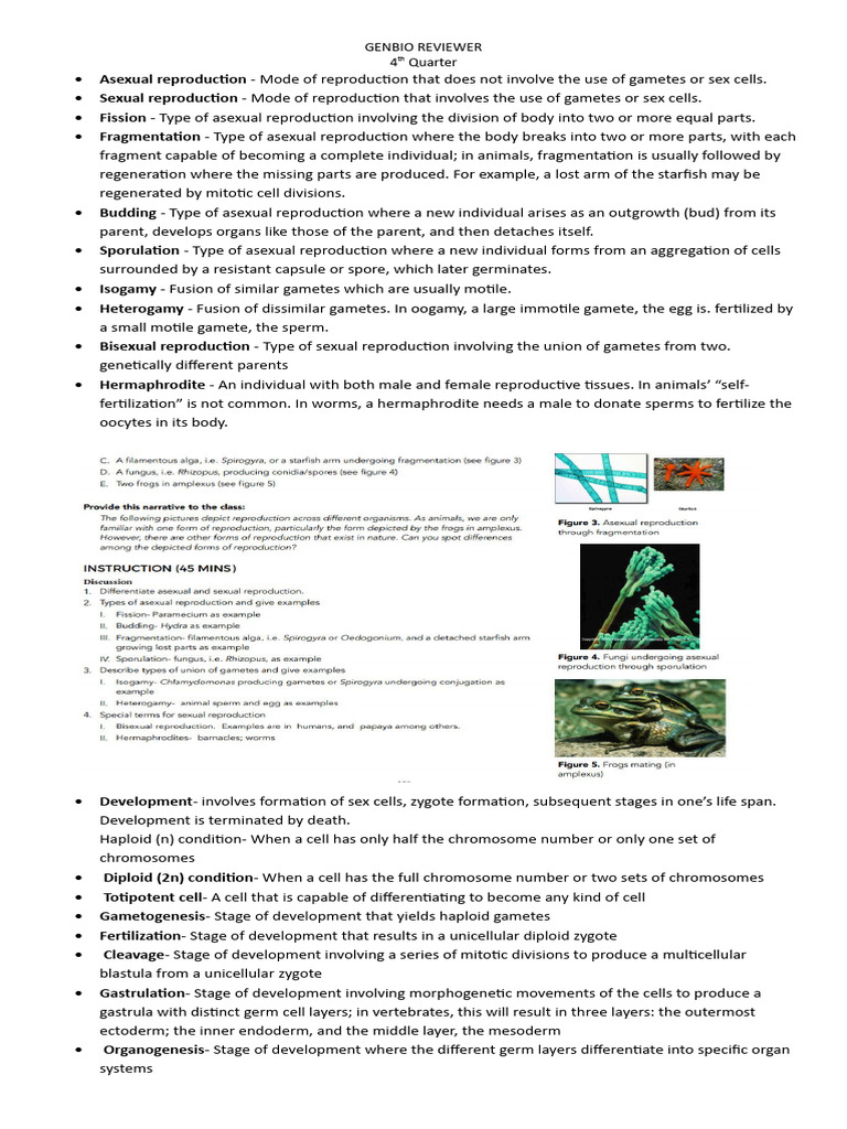 Genbio 4th Quarter Reviewer Pdf Sexual Reproduction Sex