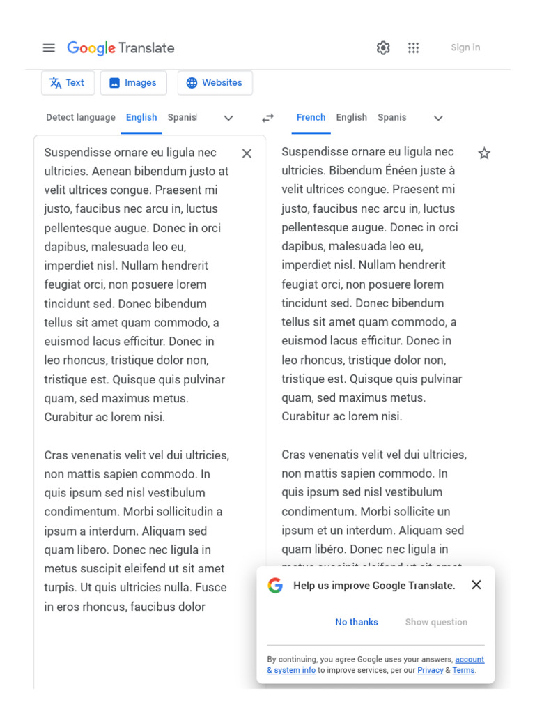 Translate: Text Images Websites | PDF