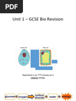 Form 2 Combined Science Notes | PDF | Digestion | Flowers