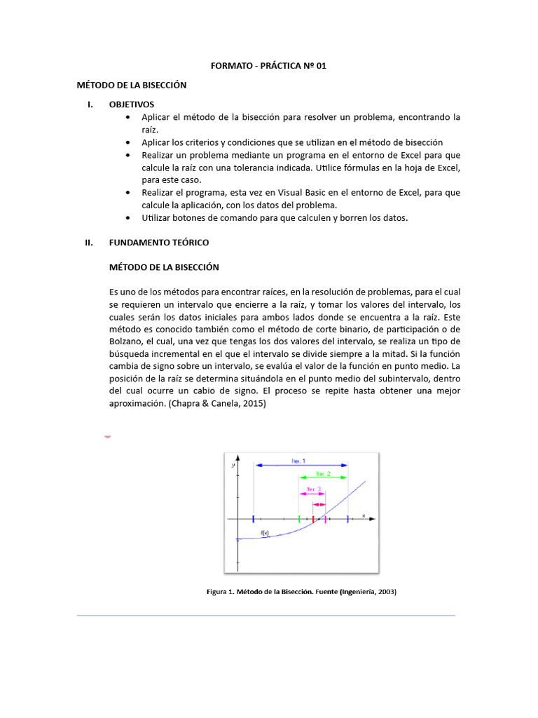 Practica Métodos Numéricos Formato | PDF | Análisis numérico | Matemáticas