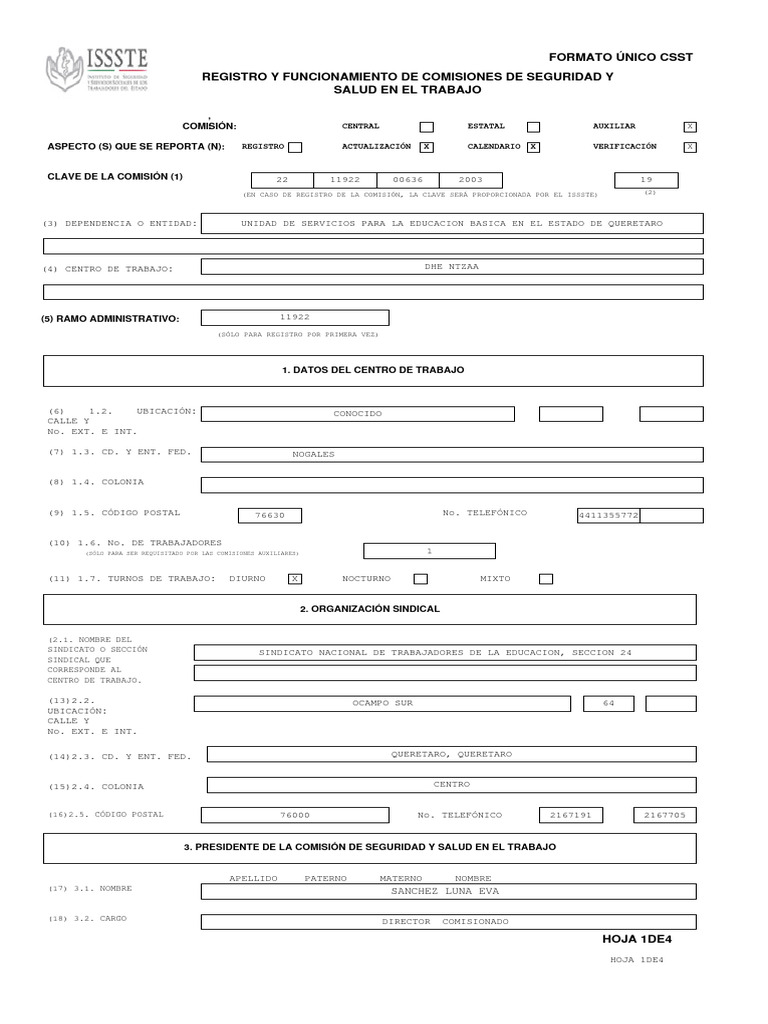 Formato Unico CSST | PDF
