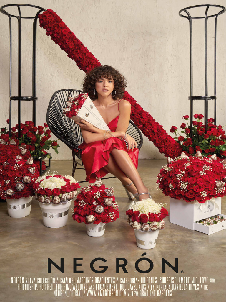 Catálogo NEGRON 2023 | PDF