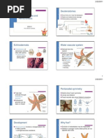 Echinoderms 3 | PDF