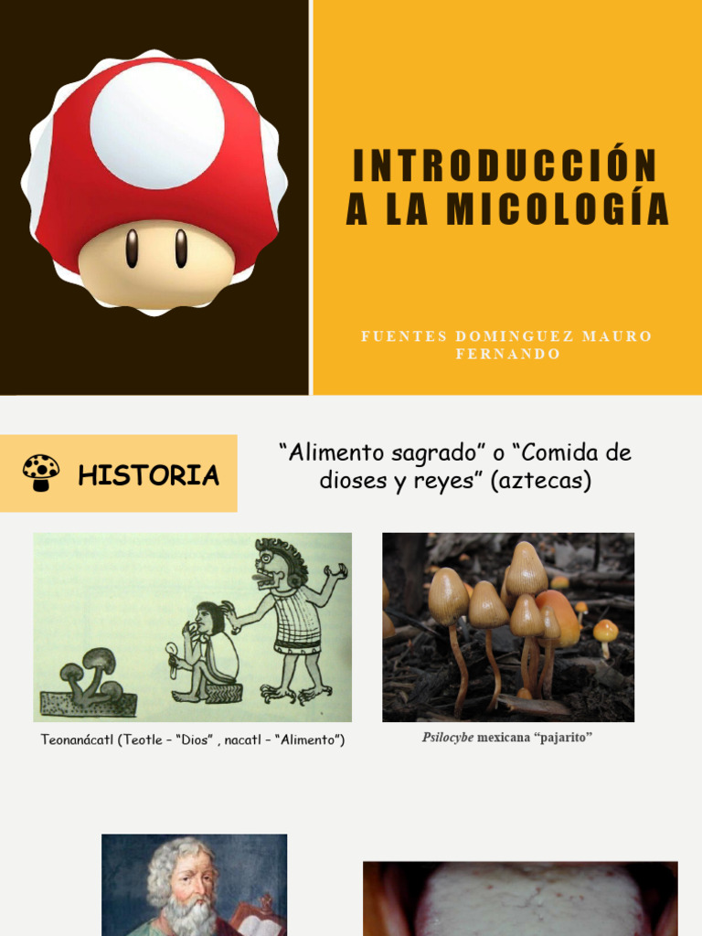 Introduccion A La Micologia | PDF | Hongo | Espora