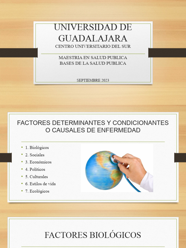 TEMA 3. Factores Determinantes | PDF