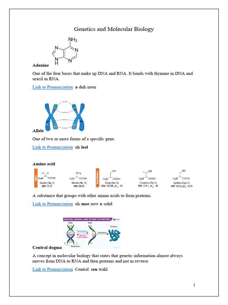 Genetics and Molecular Biology | PDF