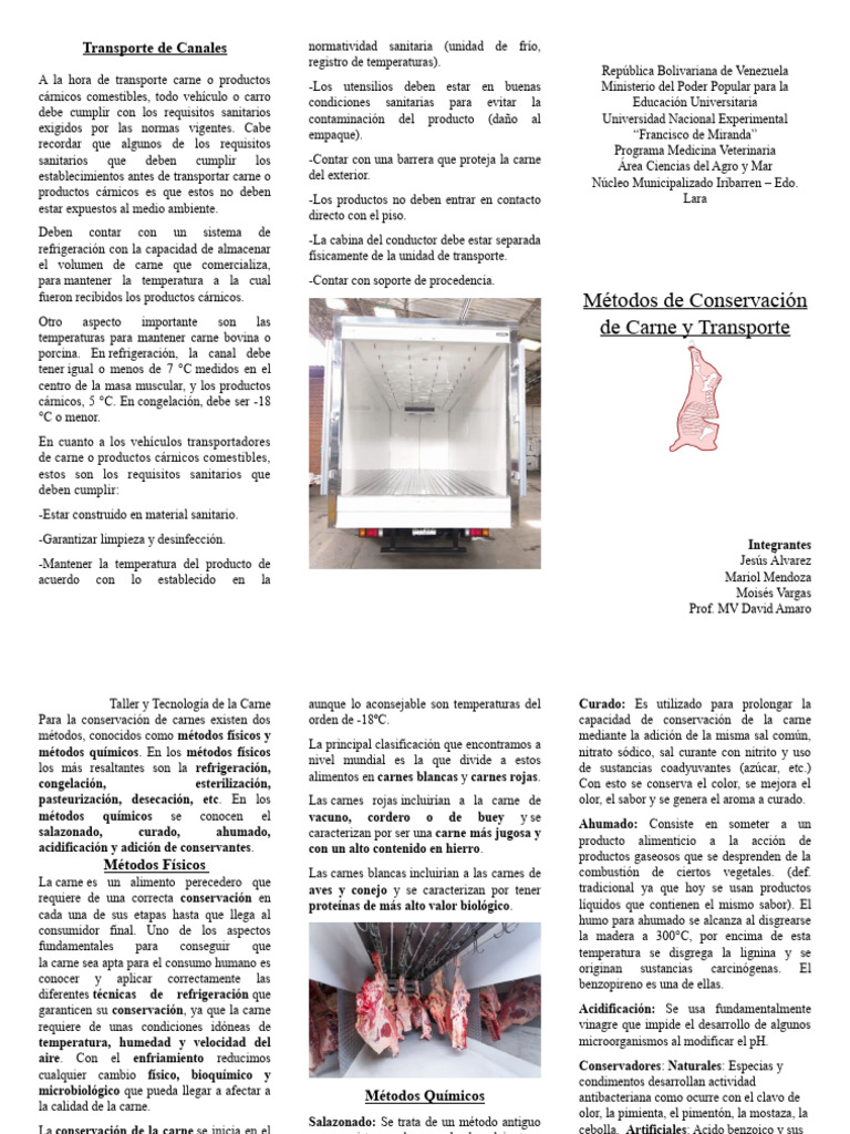 Triptico Taller de Carne | Descargar gratis PDF | Carne | Curado (Conservación de Alimentos)