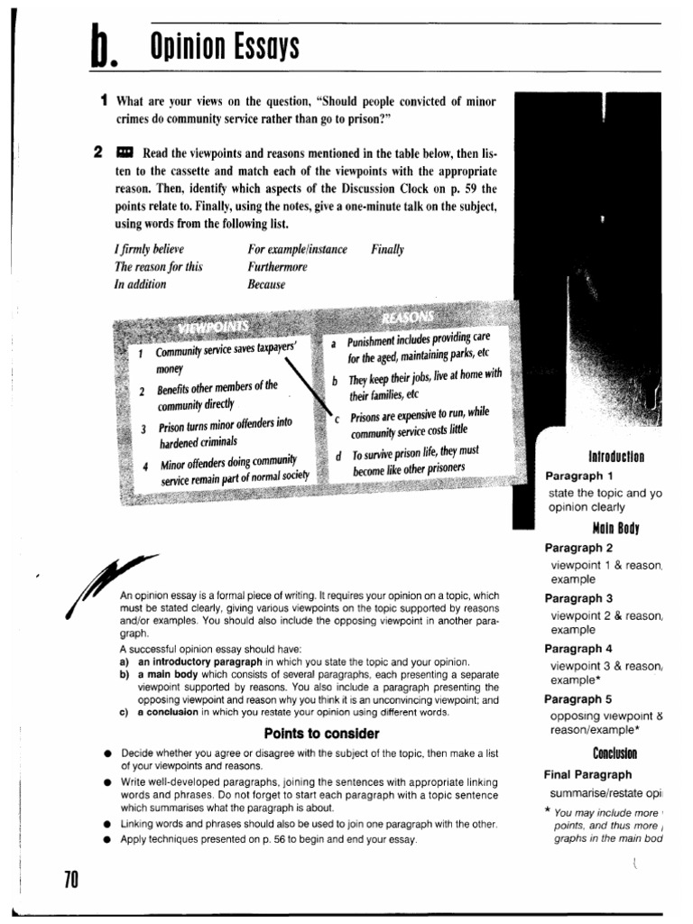 Opinion Essays | PDF