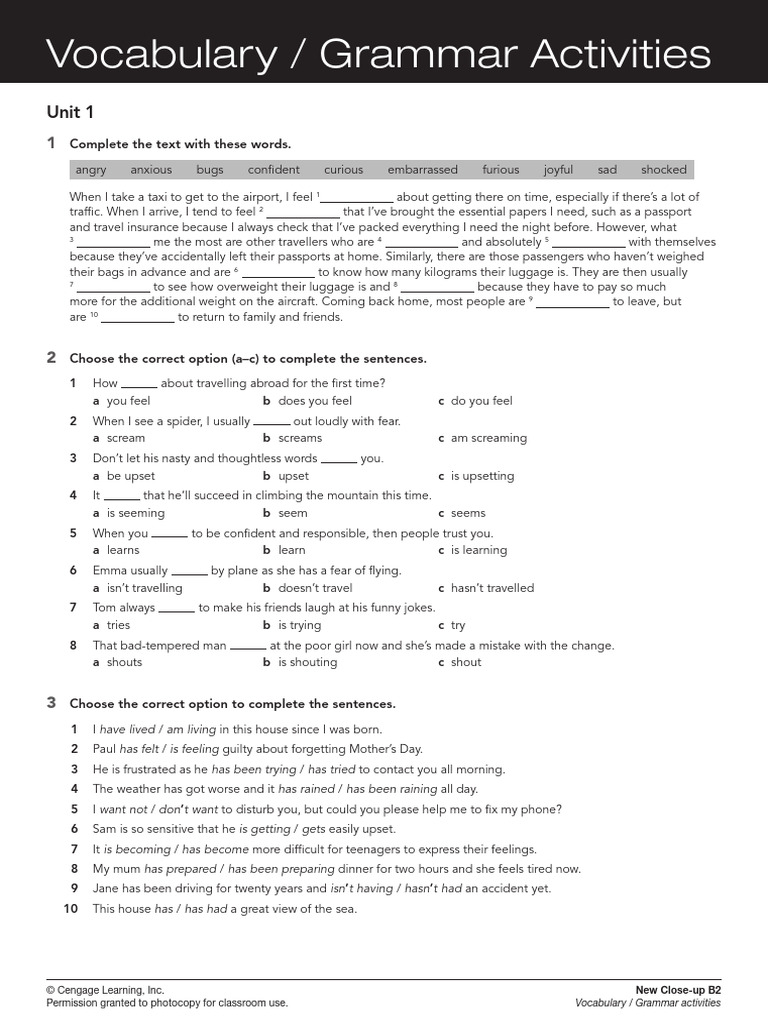 B2 Vocabulary and Grammar Activities | PDF