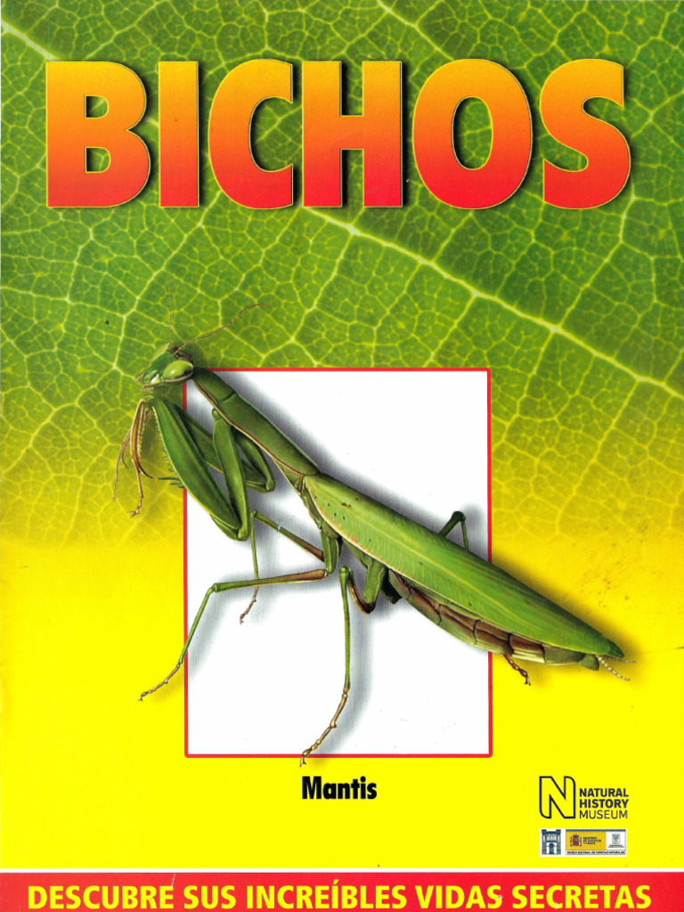 15 Bichos - Mantis | PDF | Insectos | Depredación