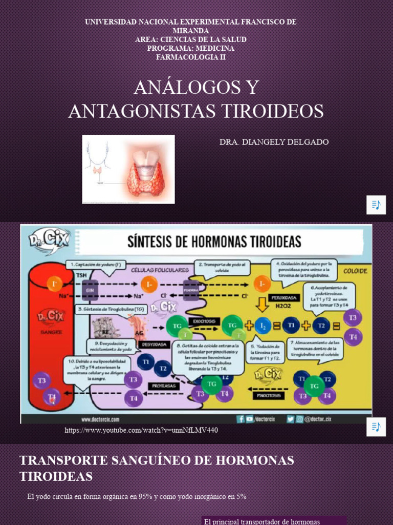 Análogos y Antagonistas Tiroideos | PDF | Tiroides | Hormona estimulante de la tiroides