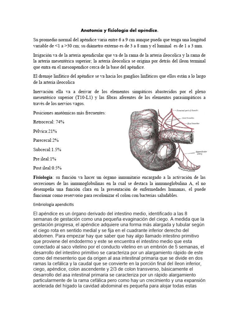 Anatomía y fisiología del apéndice | PDF | Intestino grueso | Tracto ...