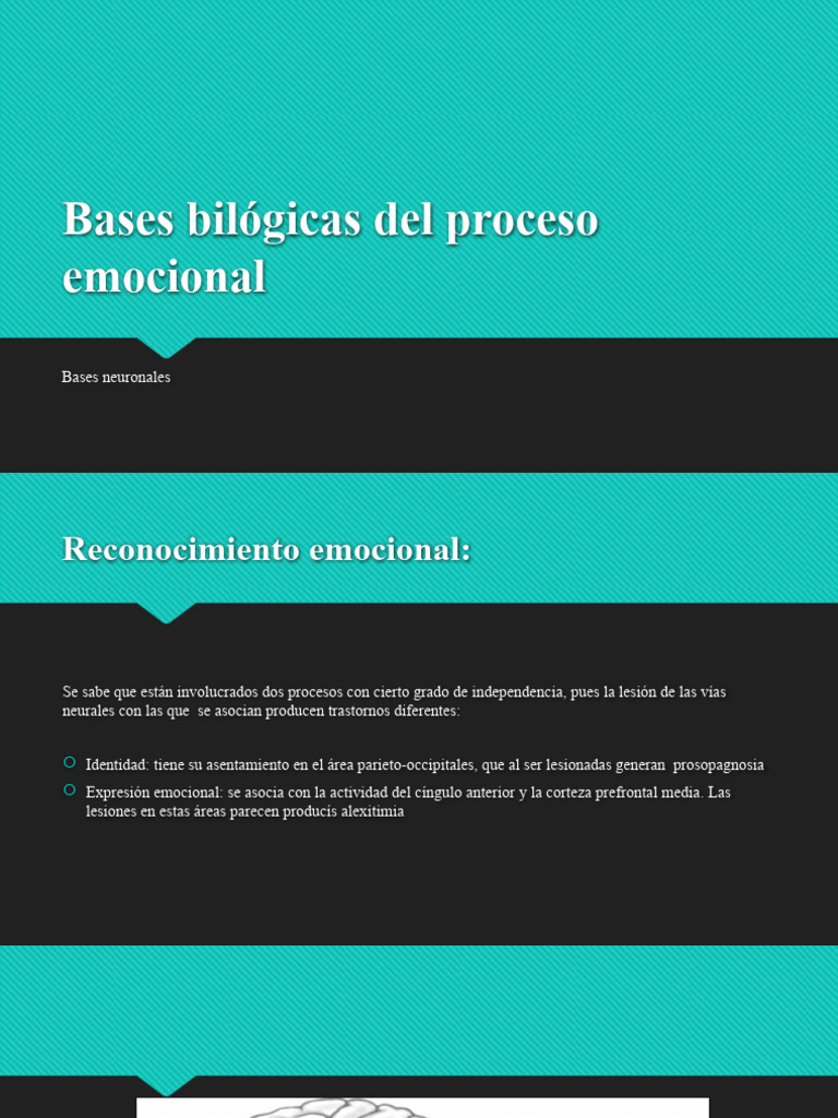 Bases Bilógicas Del Proceso Emocional | PDF | Las emociones | Amígdala