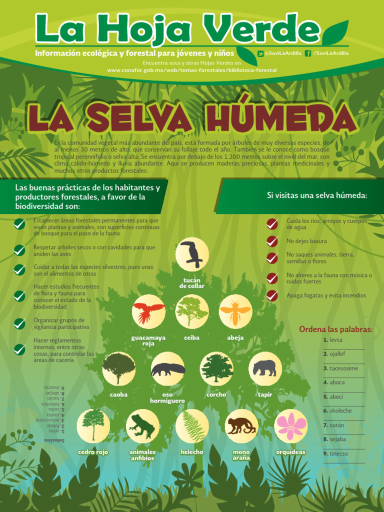 LHV 360 La Selva Humeda | PDF | Selva | Los bosques