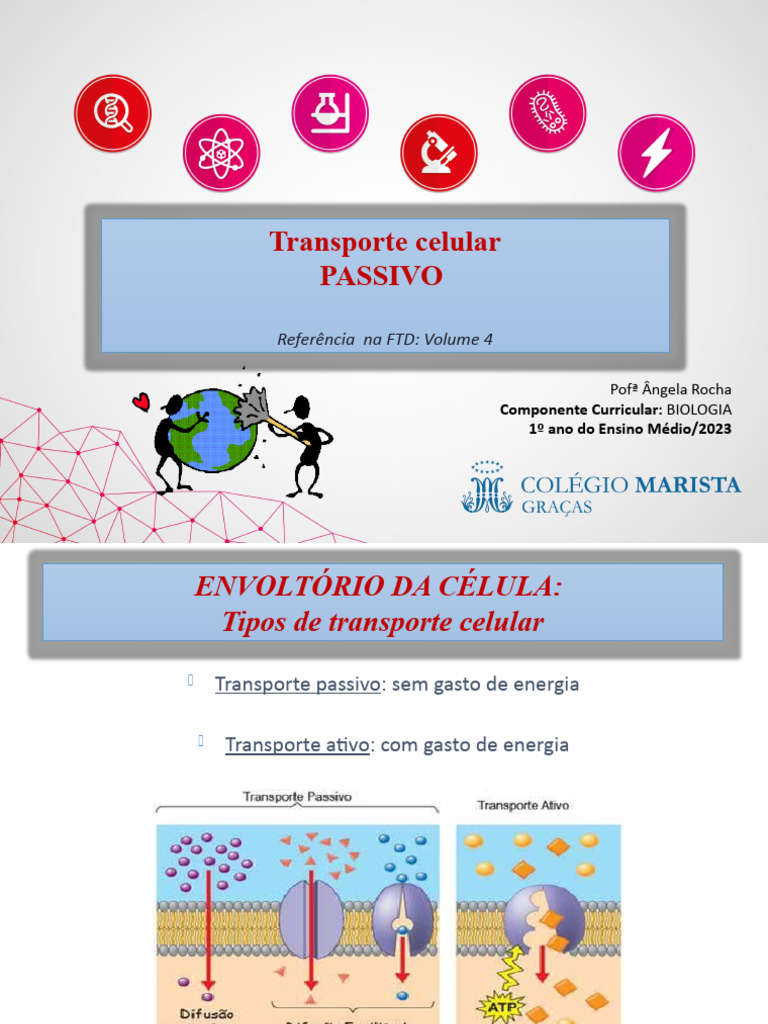 Tipos de Transporte Celular Passivo | PDF | Osmose | Química