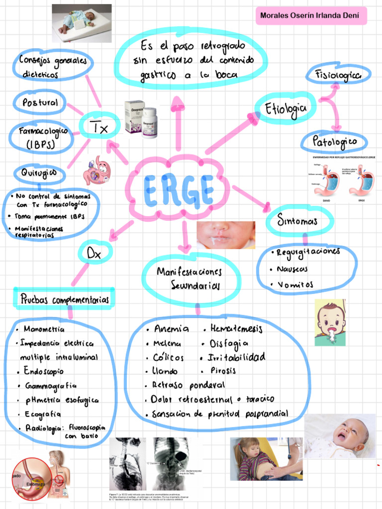 Mapa Mentar ERGE. | PDF