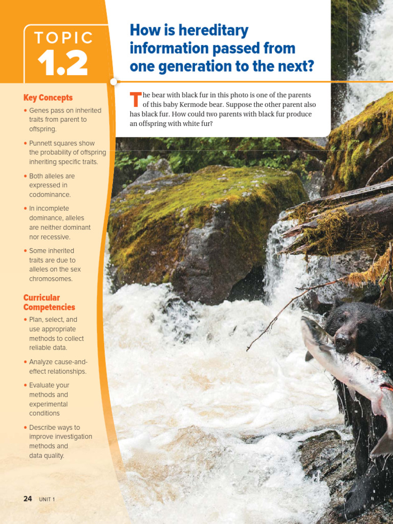 Bcsci 10 Unit 1 Topic1 2 | PDF | Dominance (Genetics) | Genotype