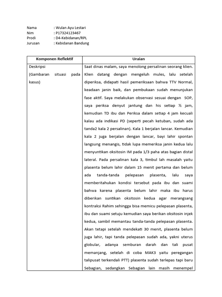 Reflectif Practice Dalam Kebidanan | PDF