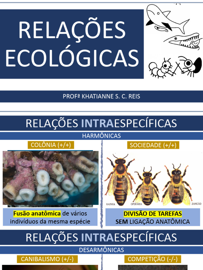 Relações Ecológicas Atualizada | PDF | Ciências Sociais Ambientais ...