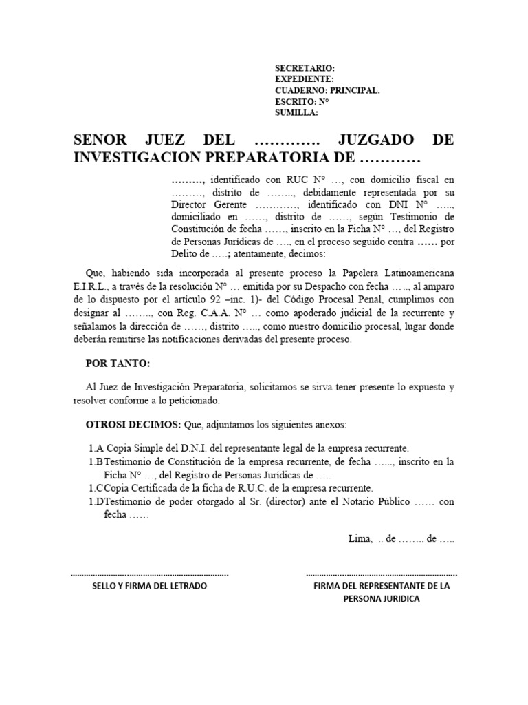 Modelo Persona Juridica Incorporada Al Proceso Designando Apoderado Judicial | PDF | Finanzas y ...