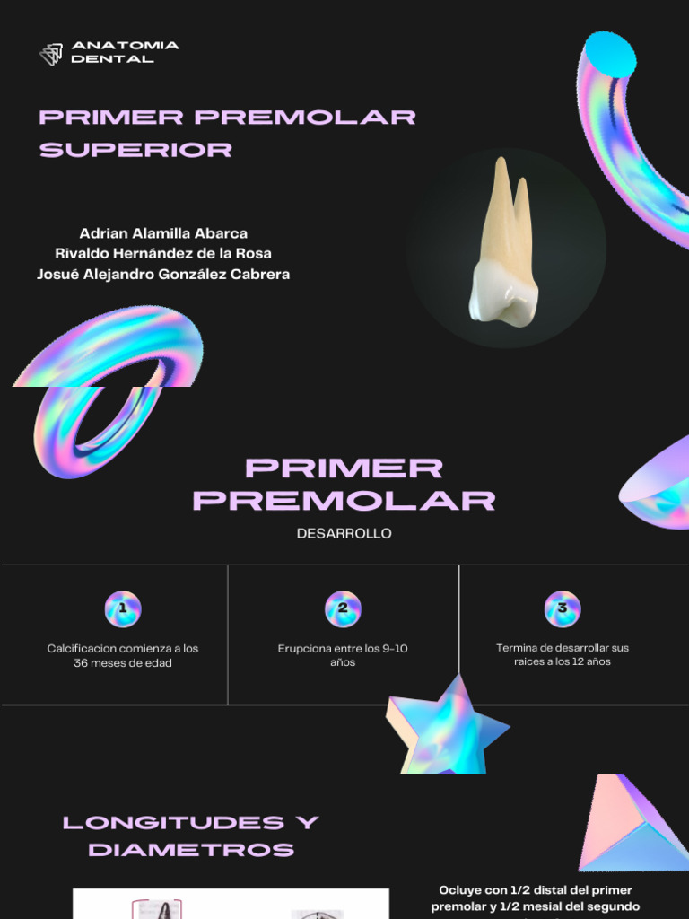Anatomía del Primer Premolar Superior | PDF | Anatomia dental | Diente