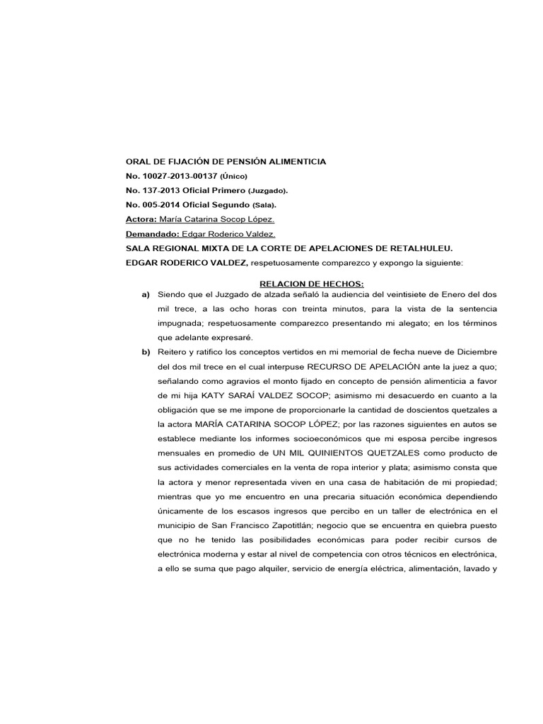 ALEGATO VISTA RECURSO DE APELACION EN JUICIO ORAL DE FIJACIÓN DE ...