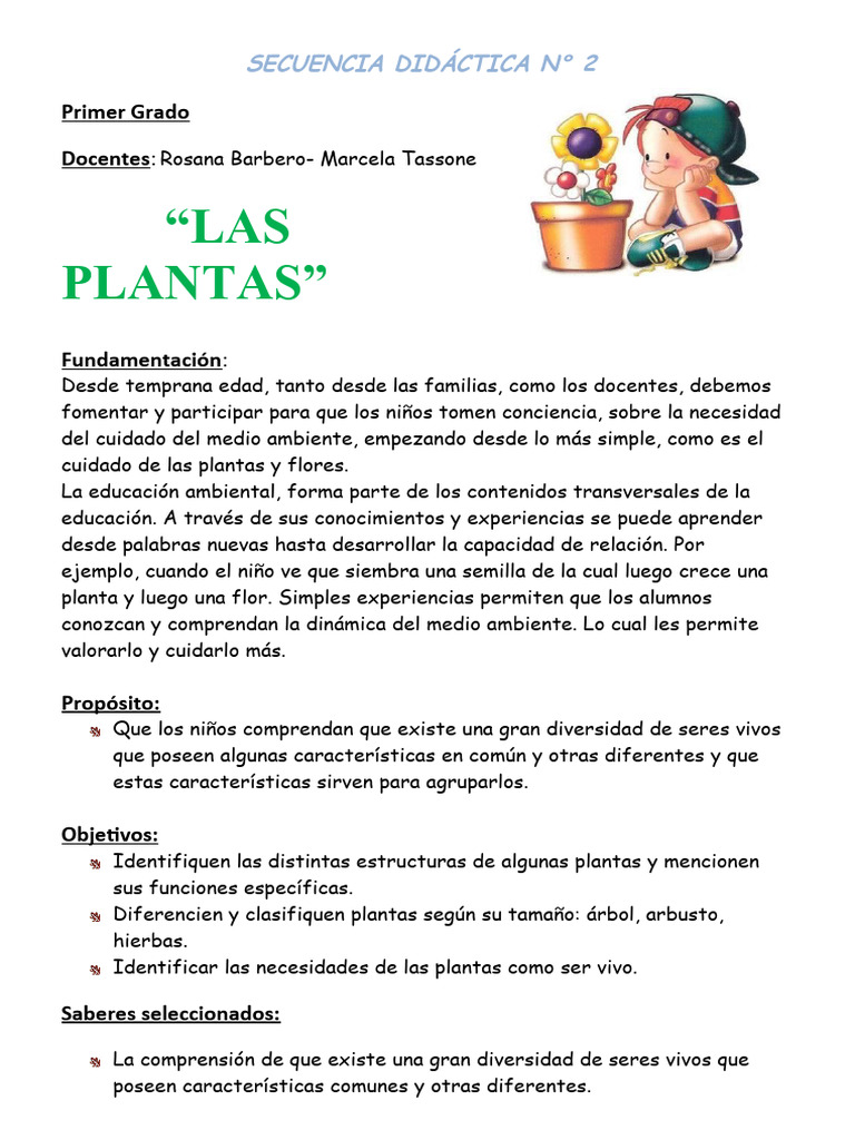 Secuencia Didáctica: Las Plantas 1° Grado | PDF | Plantas | Enseñando