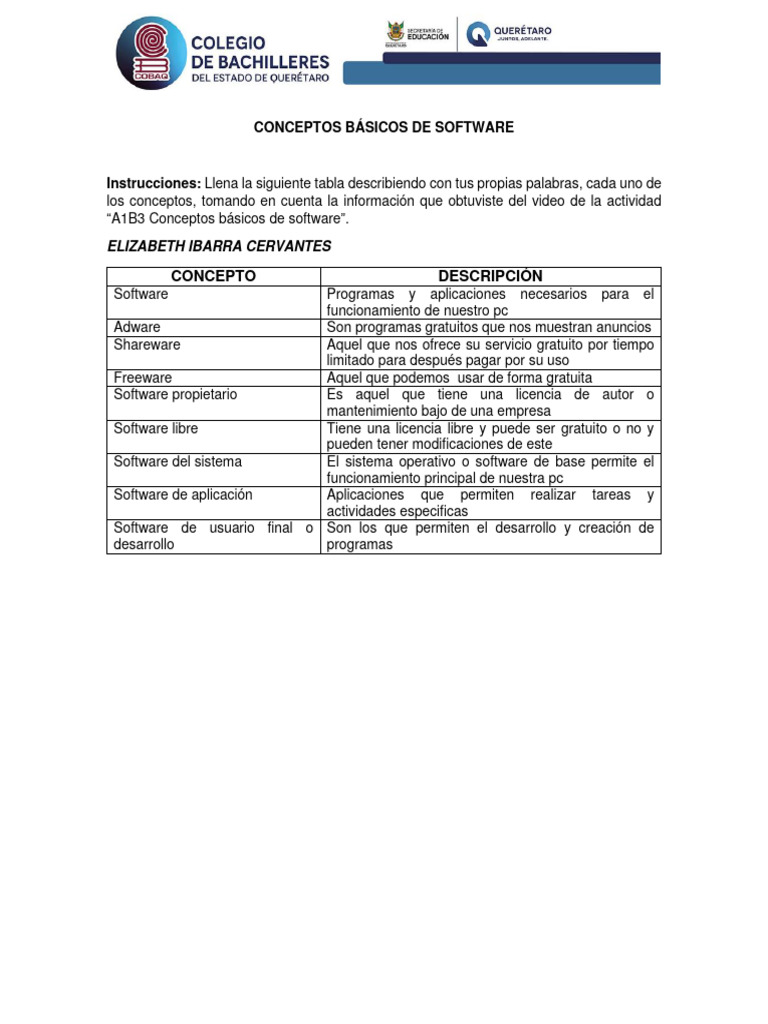 A1B3 Conceptos Básicos de Software - ELI.I.C | PDF