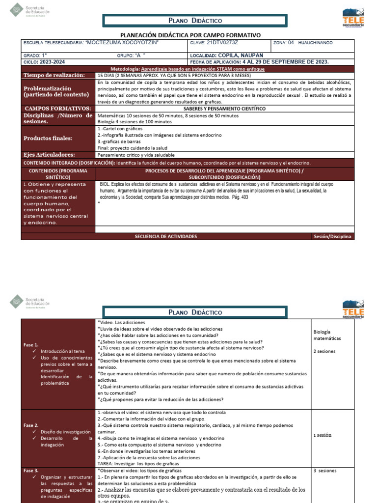 PLANEACION SABERES Y PENSAMIENTO CIENTIFICO. STEAM Como Enfoque | PDF | Evaluación | Aprendizaje