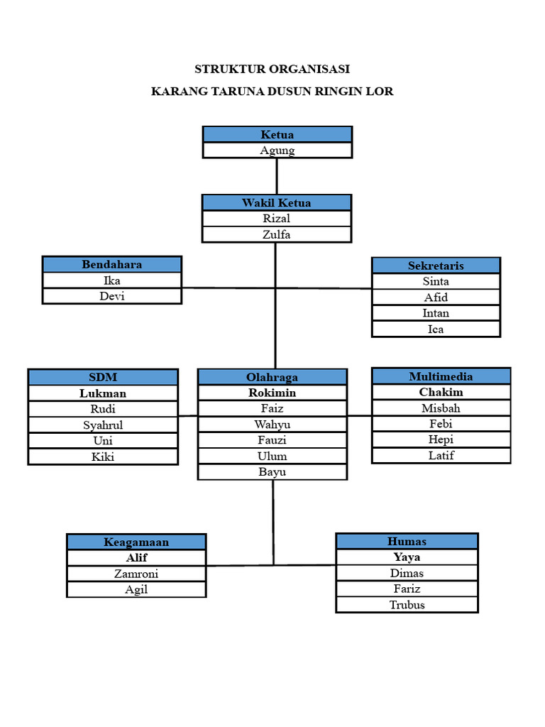 Struktur Organisasi Karang Taruna | PDF