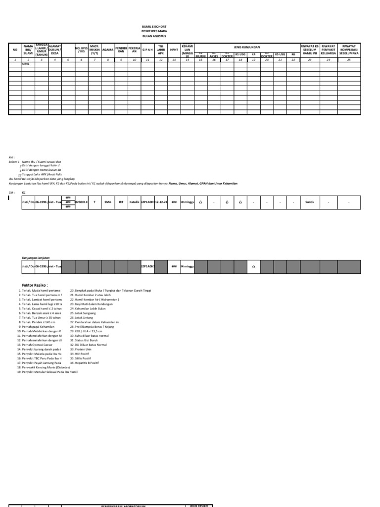 Laporan Kia Poskesdes Mara | PDF