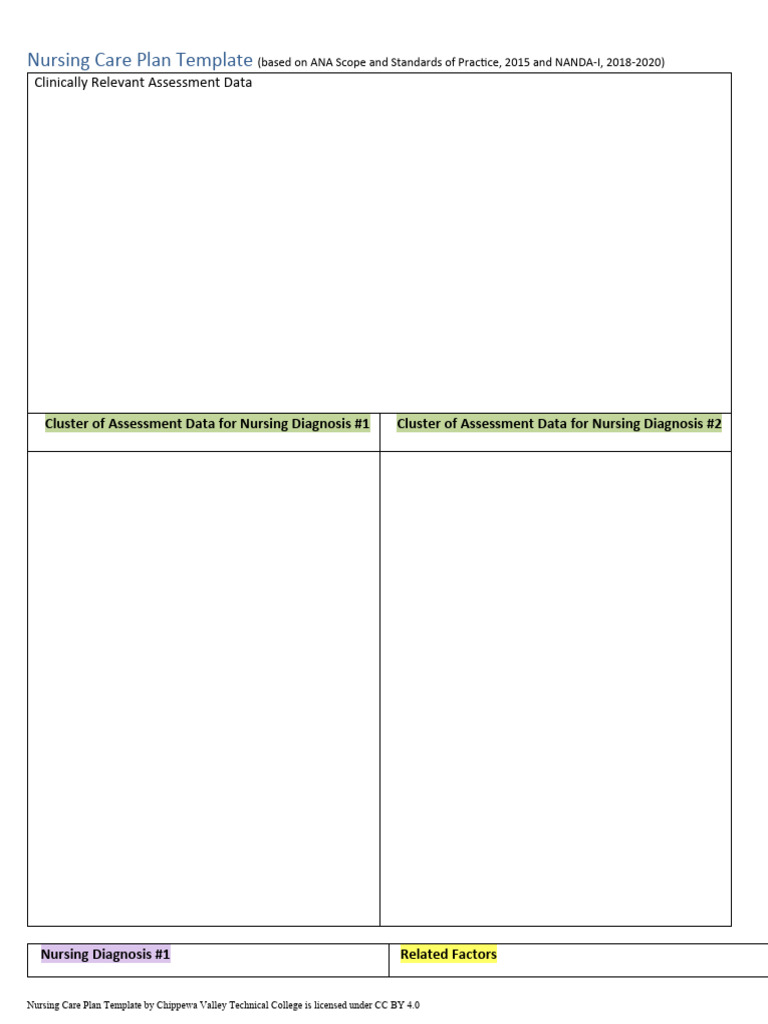 Nursing Care Plan Template Guide | PDF | Nursing | Medical Diagnosis