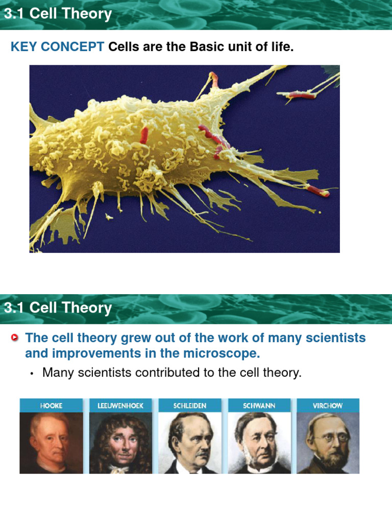 Chapter 3 The Cell | Download Free PDF | Cell Membrane | Cell (Biology)
