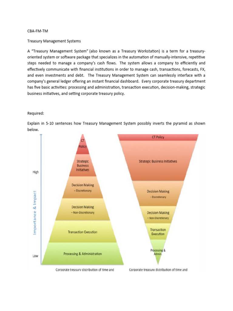 Treasury Management System Insights | PDF