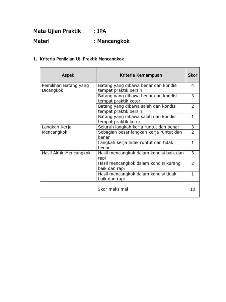 Rubrik Penilaian Ujian Praktik IPA | PDF