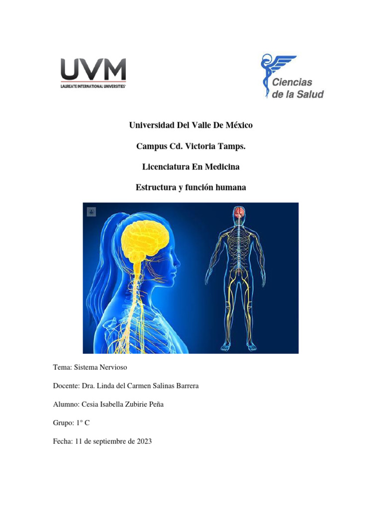 Generalidades Del Sistema Nervioso | PDF | Sistema nervioso | Neurona