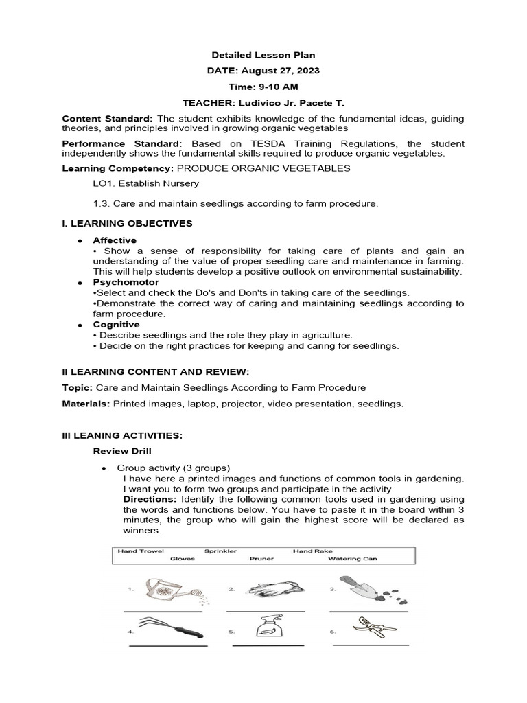 Lesson Plan | PDF | Learning | Psychology