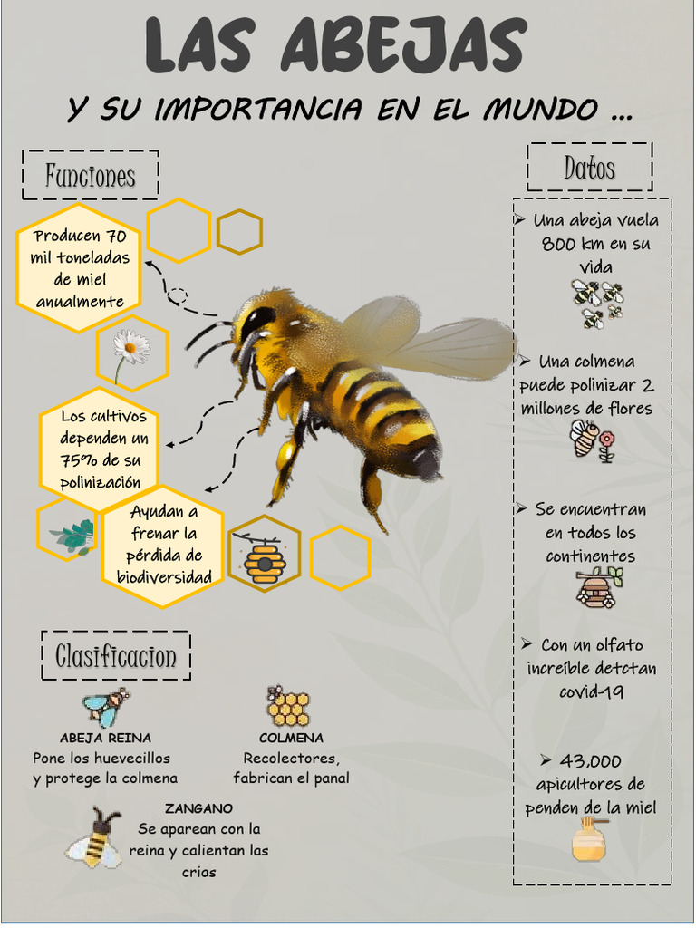 La Importancia de Las Abejas en El Mundo | PDF