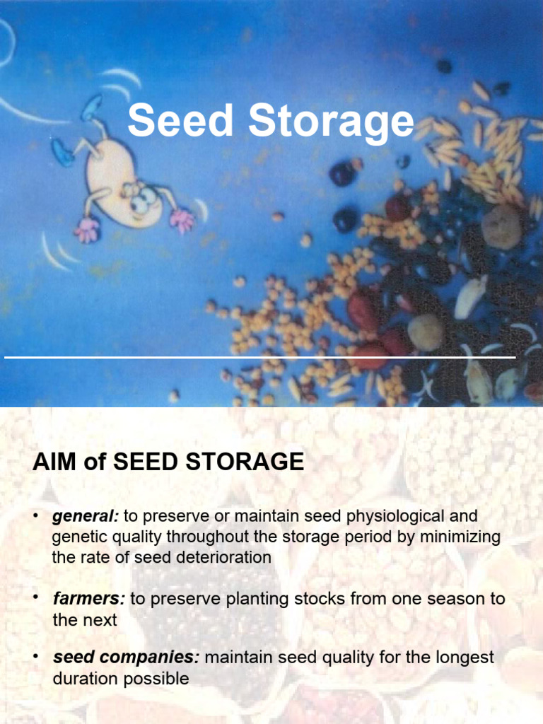 Topic 11. Seed Storage | PDF | Seed | Humidity
